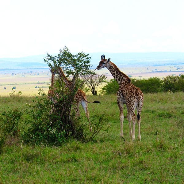 9 Days Off the Beaten Path | Kenya Adventure Safaris